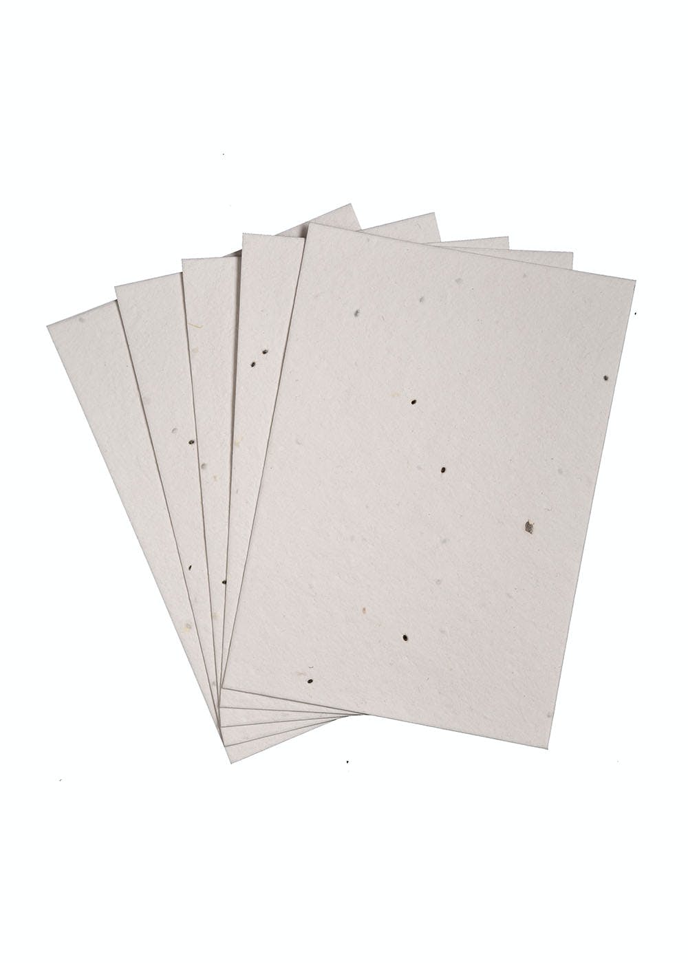 Get A4 Size Basil Seed Paper 200 GSM (Set of 50) at ₹ 730 | LBB Shop