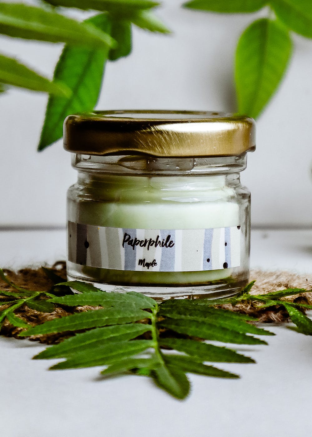 Get Maple Petite Candle at ₹ 199 | LBB Shop