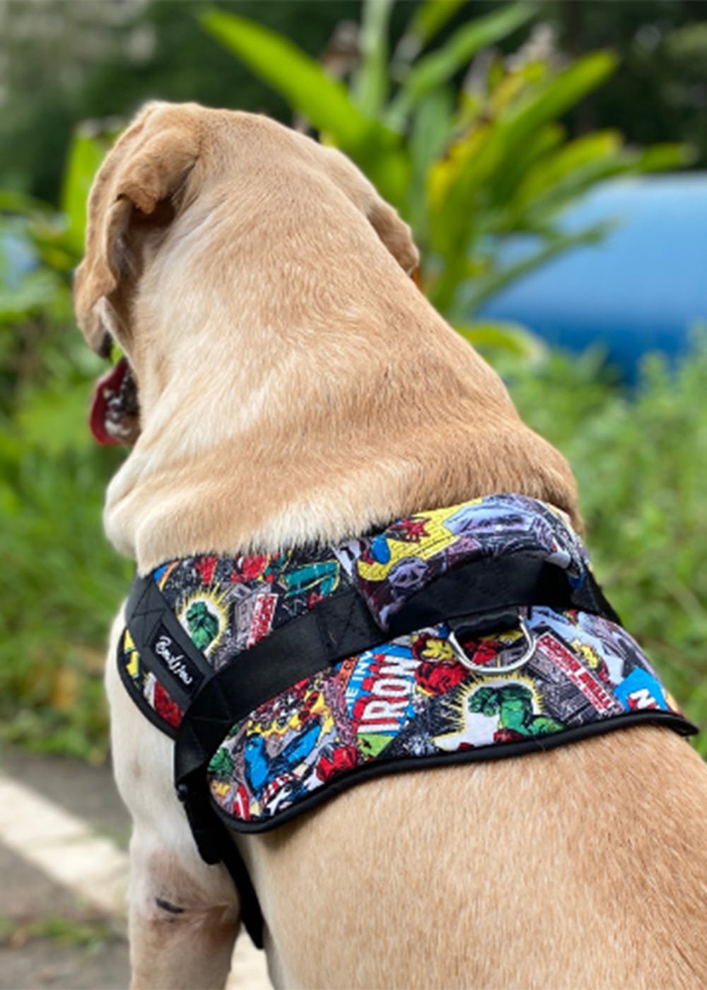 Get Super Hero Harness (Large To XL) at ₹ 1890 | LBB Shop