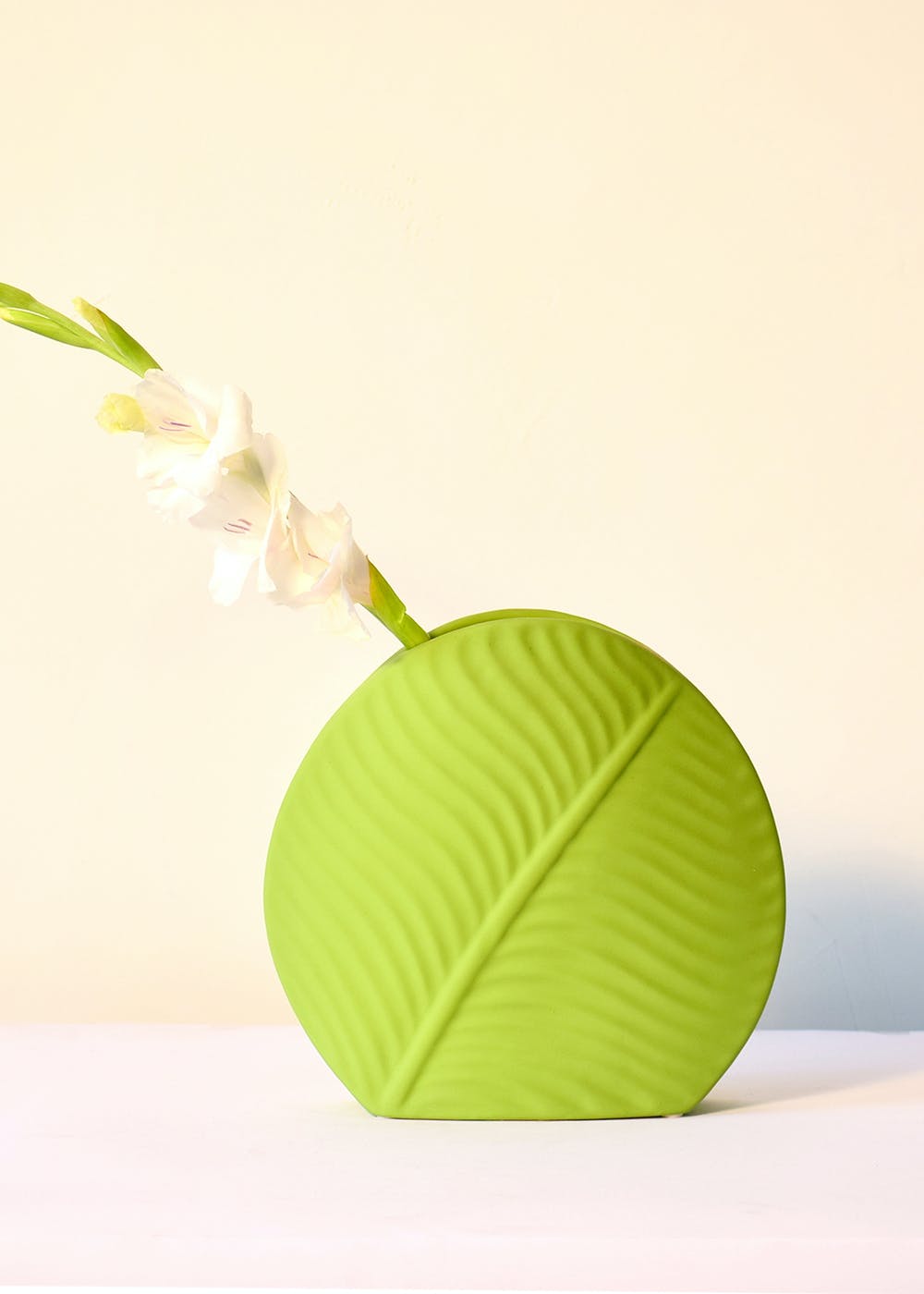 Get Solid Leaf Design Large Vase at ₹ 1800 | LBB Shop