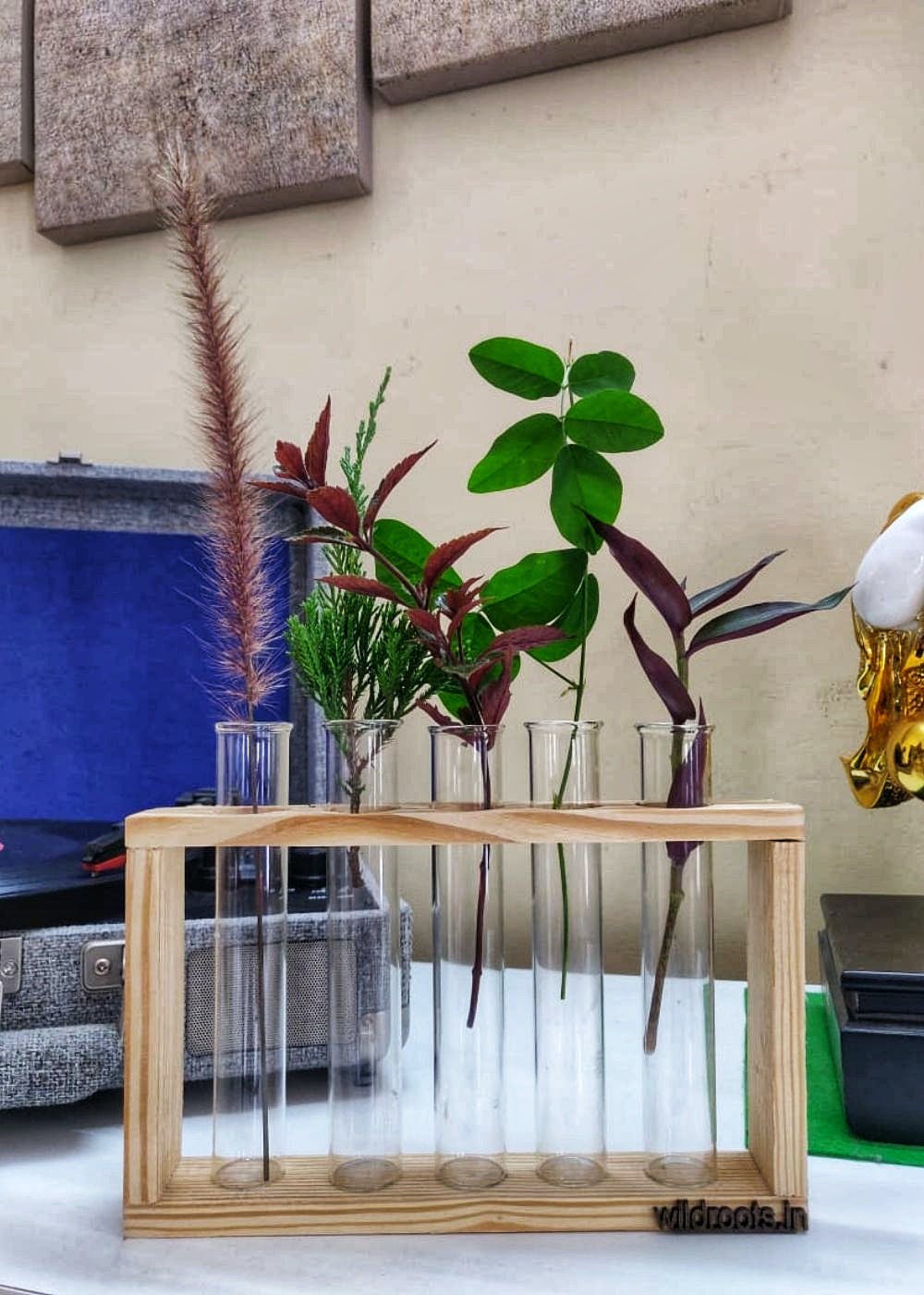 Get Test Tube Glass Planter at ₹ 997 | LBB Shop