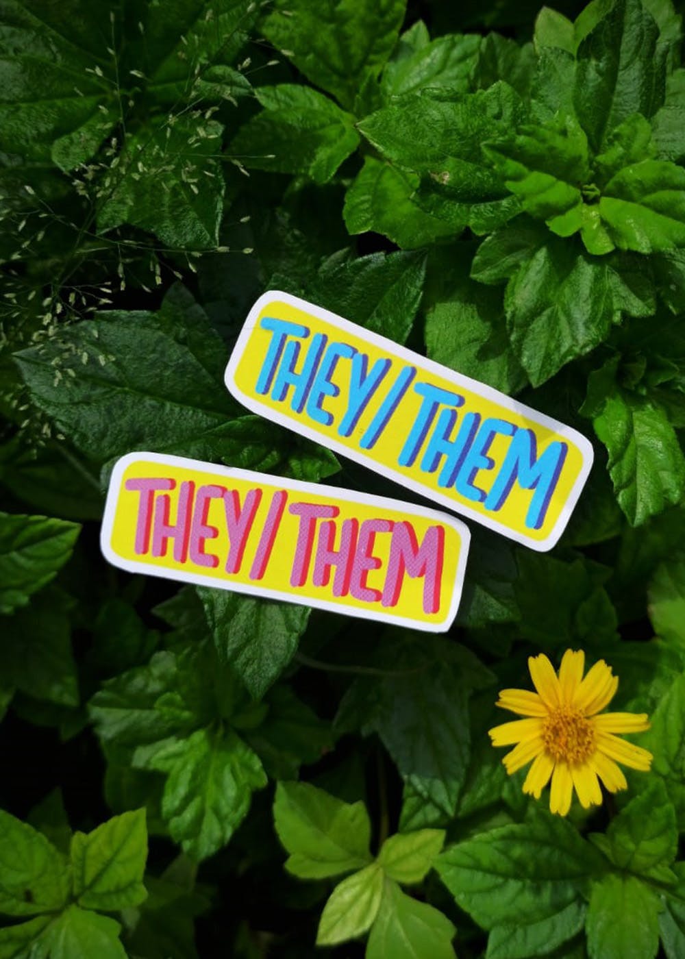 Get They/Them Pronoun Sticker at ₹ 36 | LBB Shop