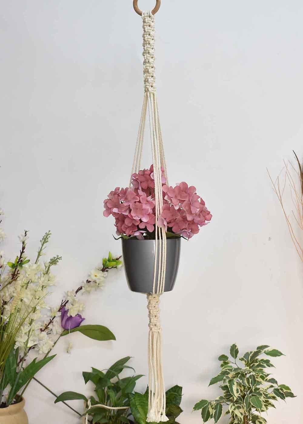 Get Handmade Macrame Cotton Plant Hanger - Set of 2 at ₹ 649 | LBB Shop