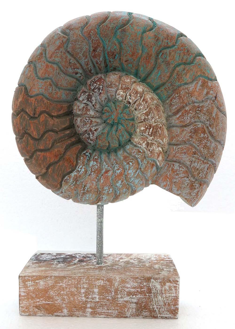 Get Shell on Stand Marine at ₹ 3540 | LBB Shop