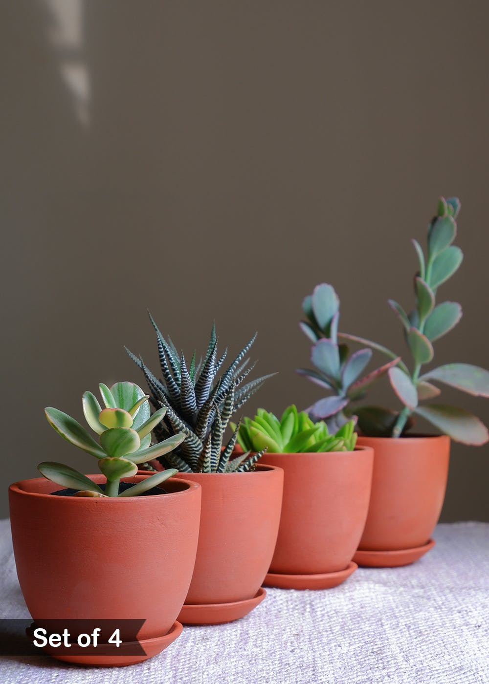 Get Dawn Planter- Set Of 4 at ₹ 690 | LBB Shop
