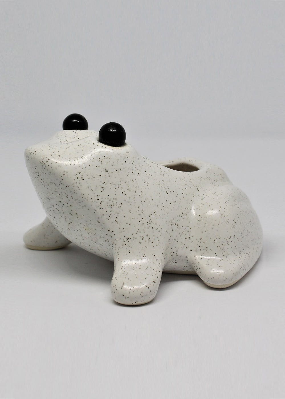 Get White Frog Planter at ₹ 350 | LBB Shop