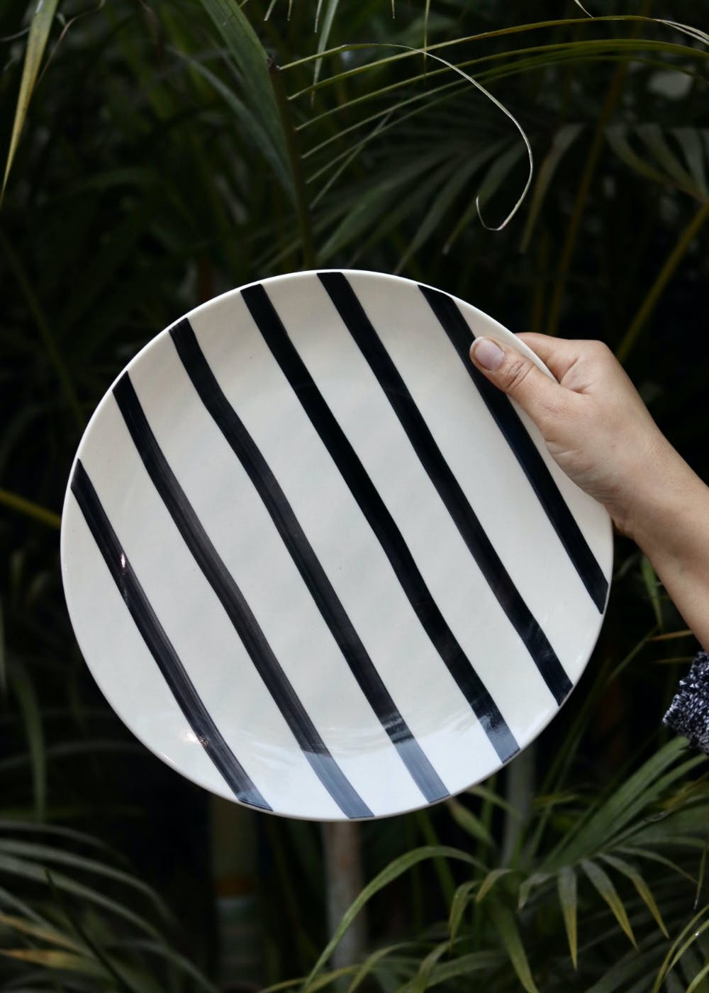 Get Zebra Dinner Plate - Set of 2 at ₹ 1299 | LBB Shop